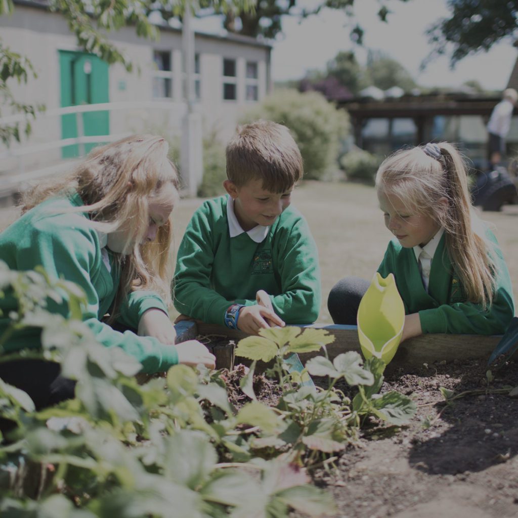 Extra Curricular - Springfield Junior School
